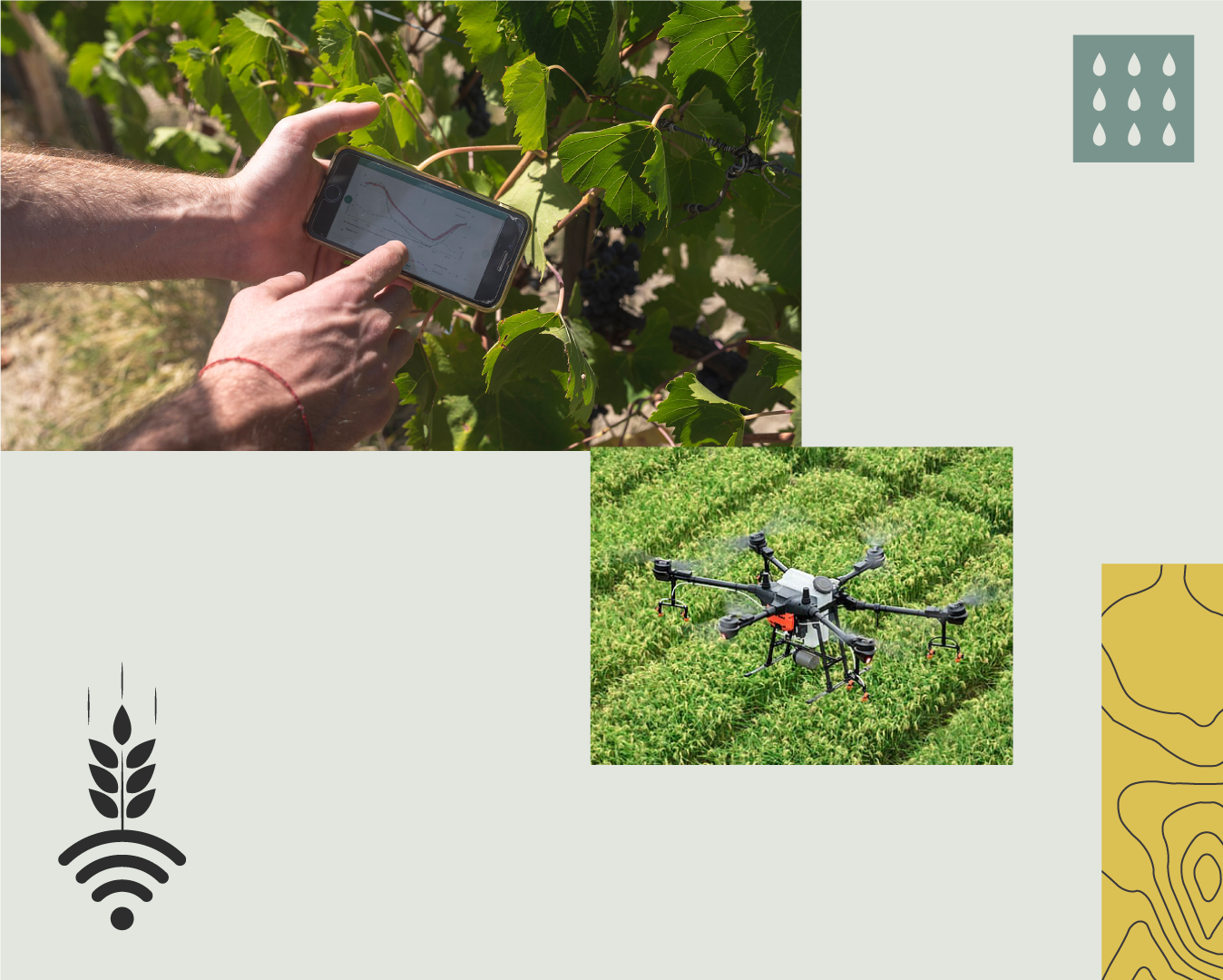 Siena Food Lab Academy 2021/2022, il corso di alta formazione per la crescita delle competenze ...