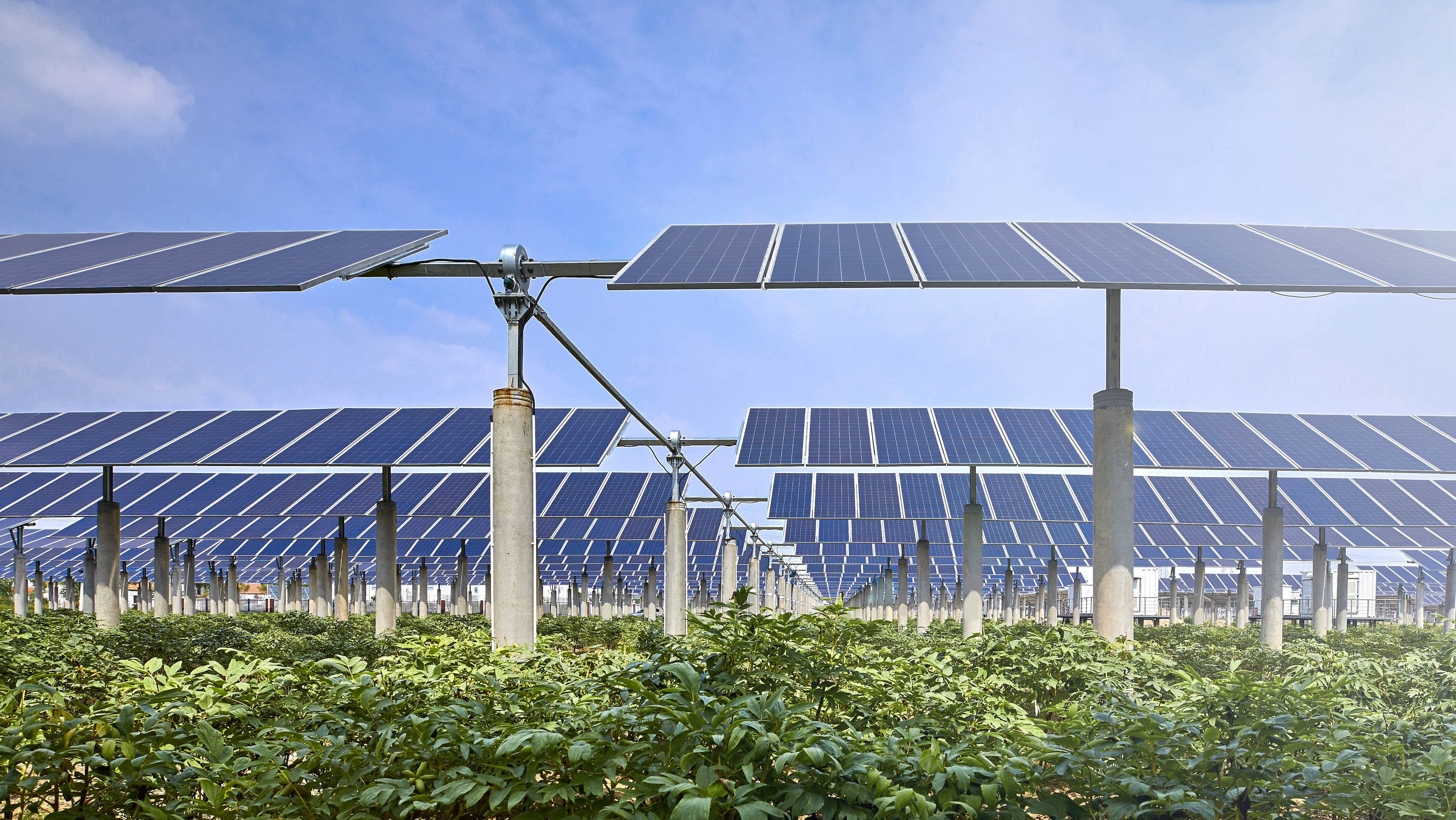 Agrisolare & Agrivoltaico